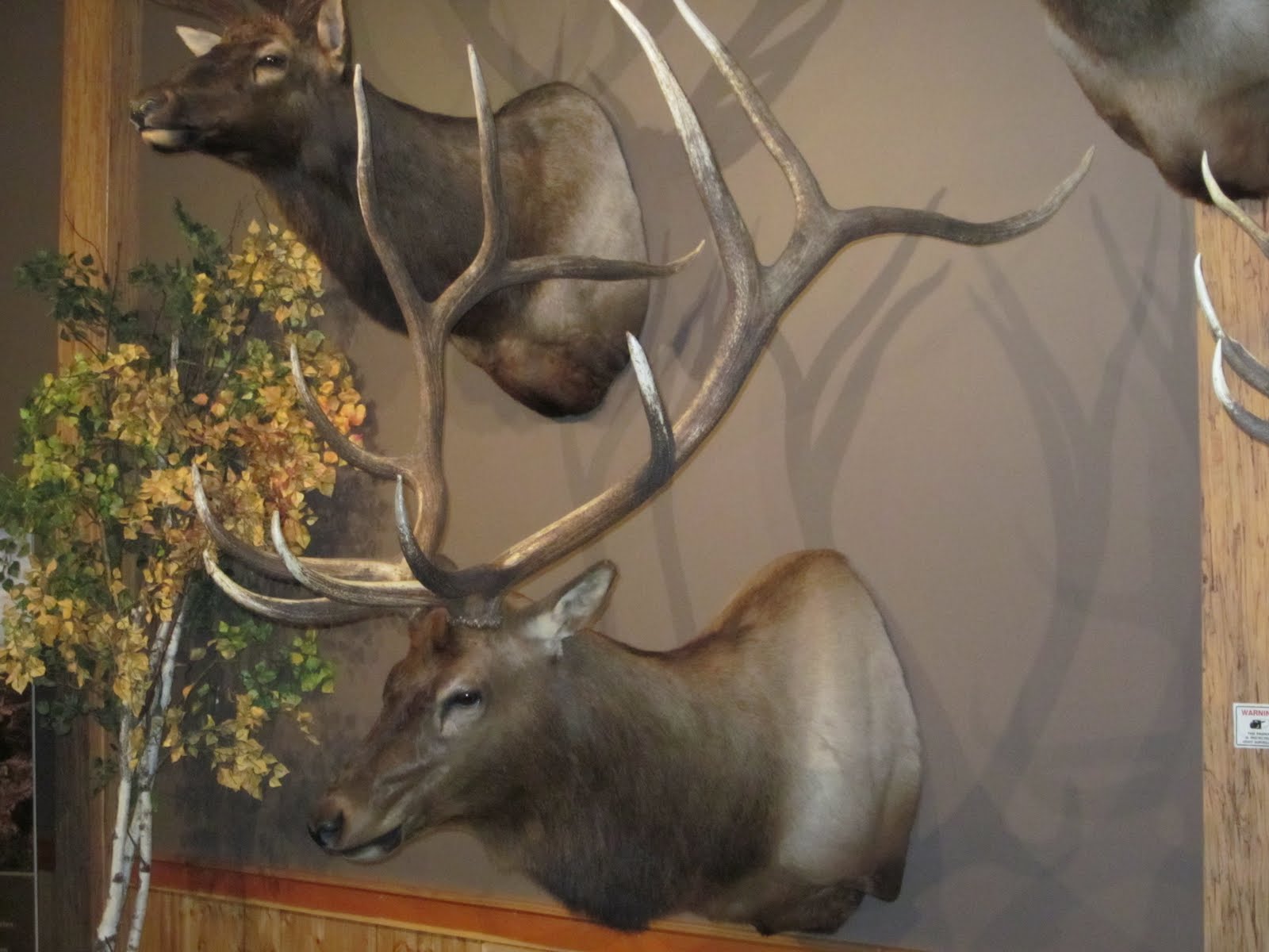 RMEF Headquarters