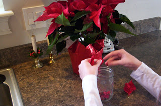 Almost Unschoolers: Poinsettia pH Paper - Christmas Science for Science ...