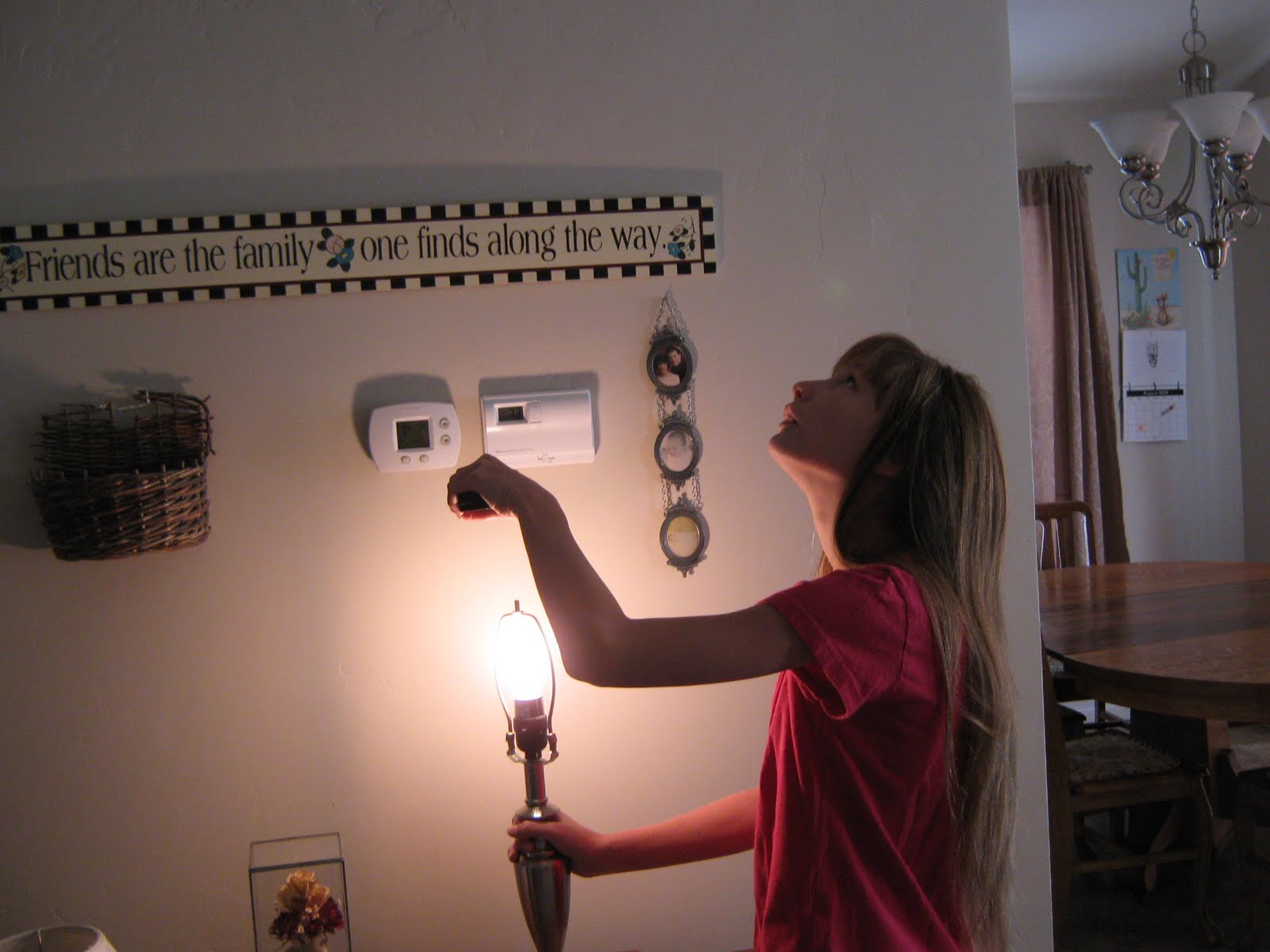 Almost Unschoolers: Homemade Simple Picture Projector - Fun With Science