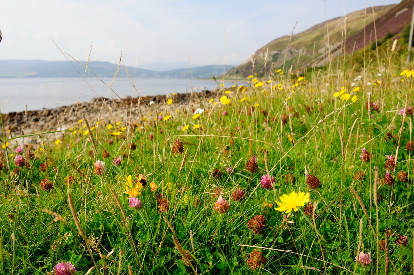 Scrapbook: September 2010