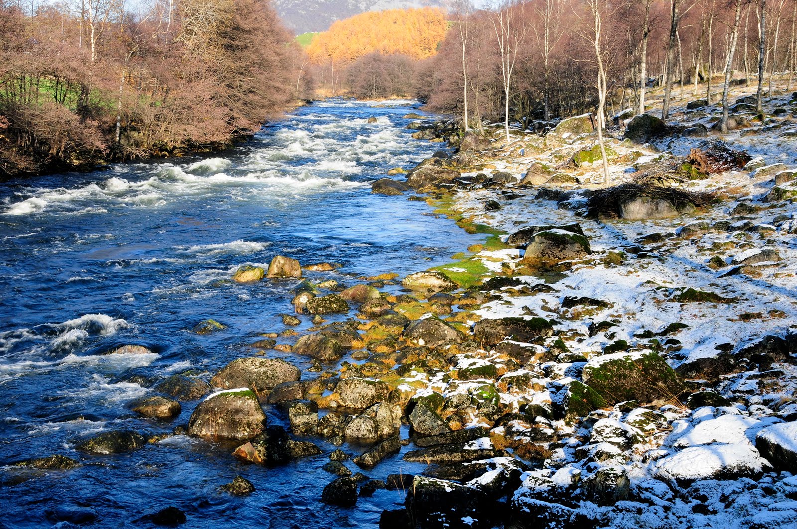 Scrapbook: November 2010