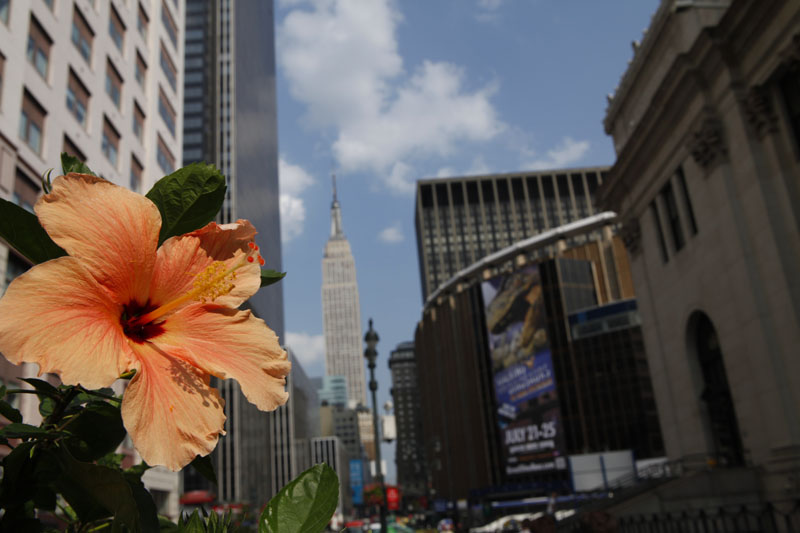 Sarah Flagg Photography