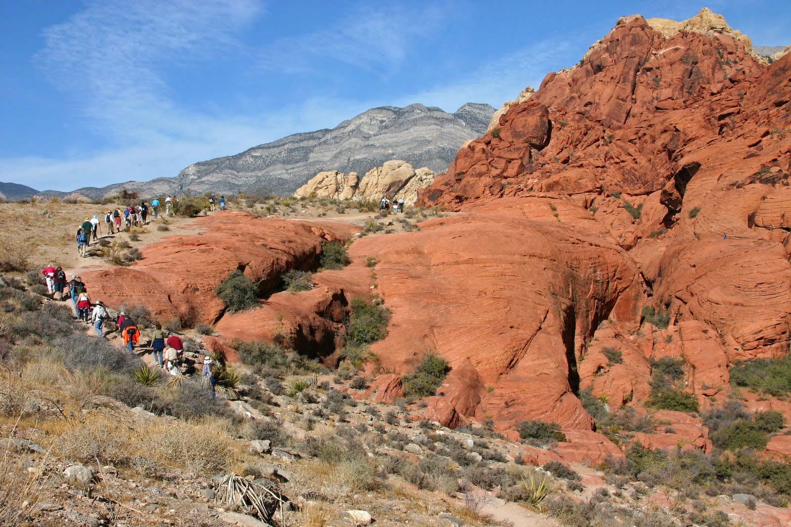 Around the Bend Friends ®: Calico Hills - 11/21/09