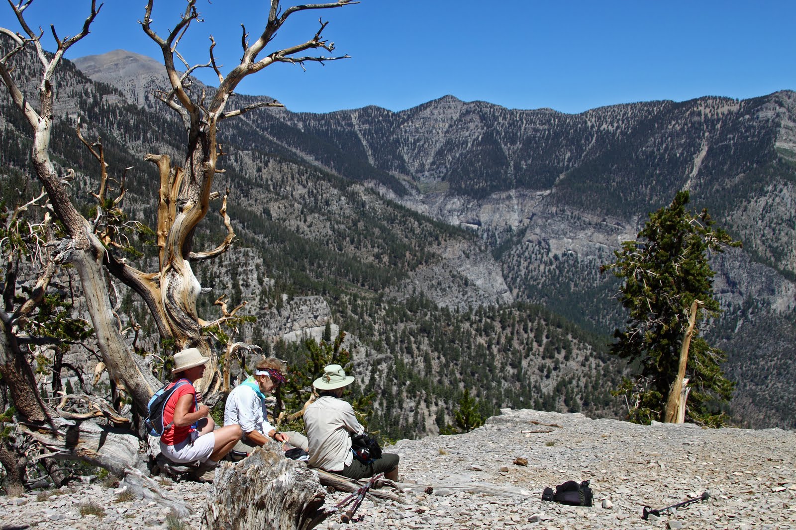 Around the Bend Friends ®: South Loop (3rd Overlook) - 8/5/10