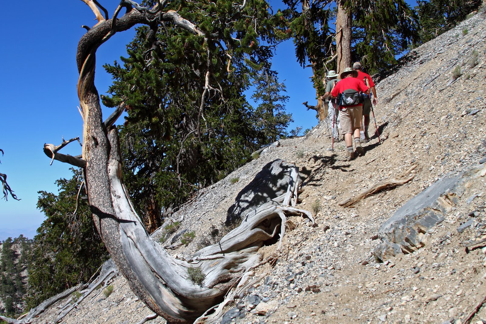 Around the Bend Friends ®: Bonanza Trail - 8/19/10