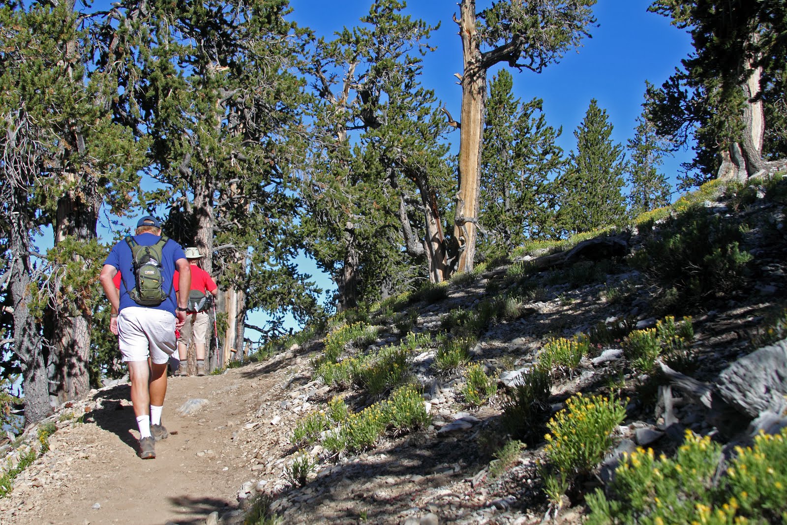 Around the Bend Friends ®: Bonanza Trail - 8/19/10