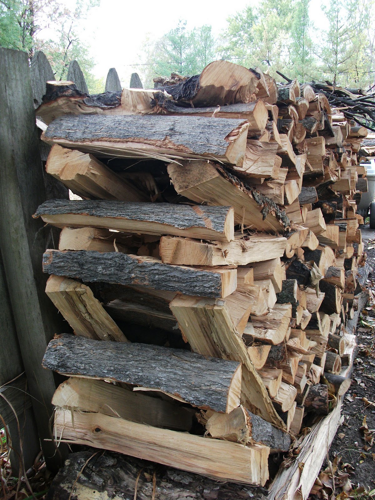 Over the Backyard Fence: Autumn Musings...