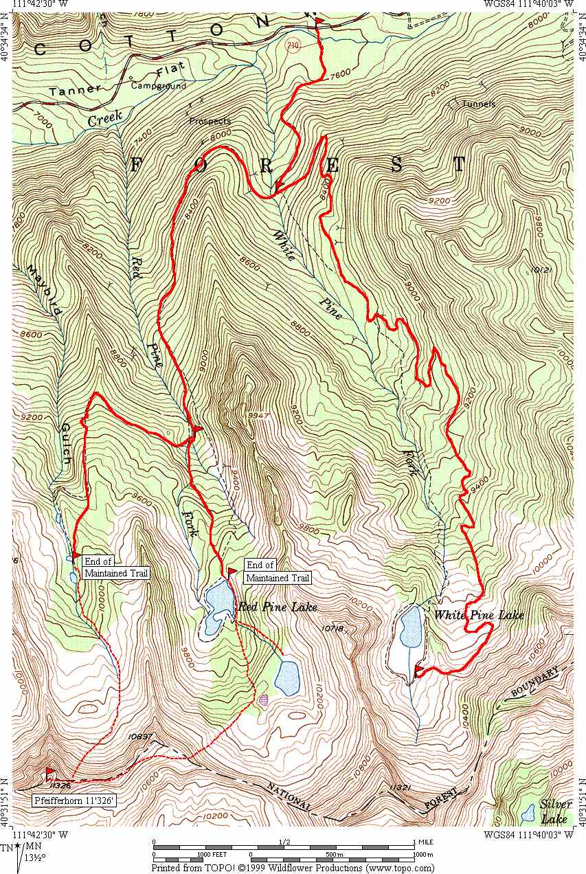A Day in the Life of the Wood's: Exploring Utah: Red Pine Trail