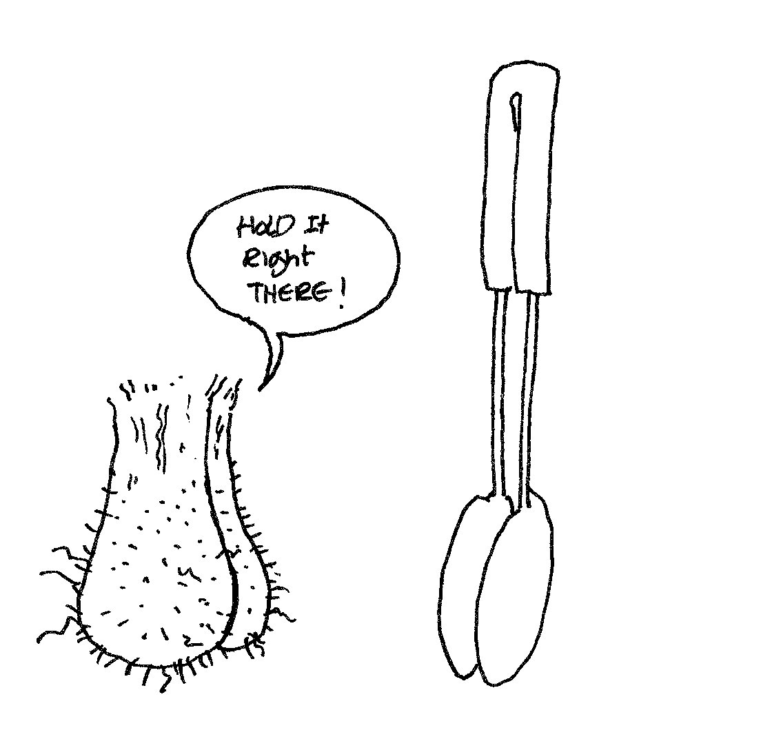 Crab's Eleven Blog.: Amazing drawing of testicles confronting arch ...