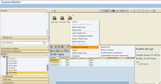 The SAP People: Market Segmentation in SAP CRM GUI
