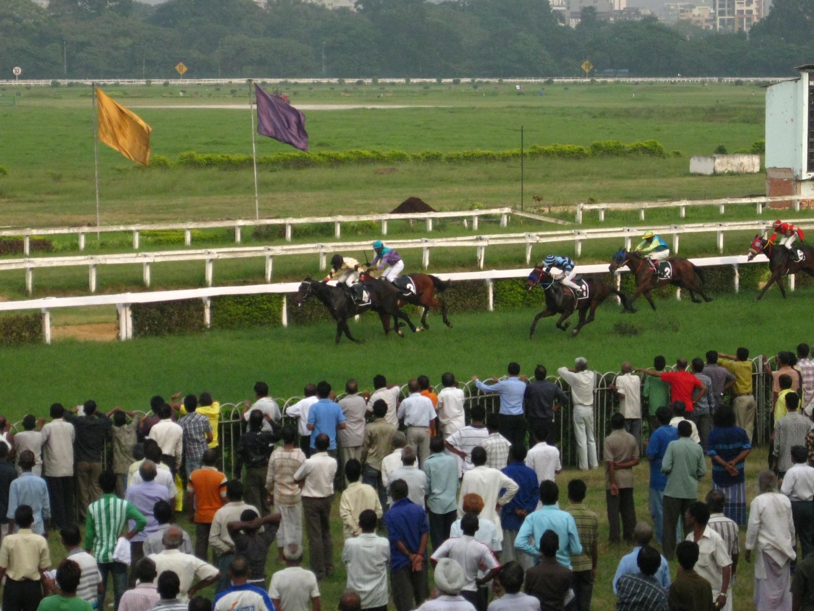 Incredible India, India: Royal Kolkata Turf Club :)