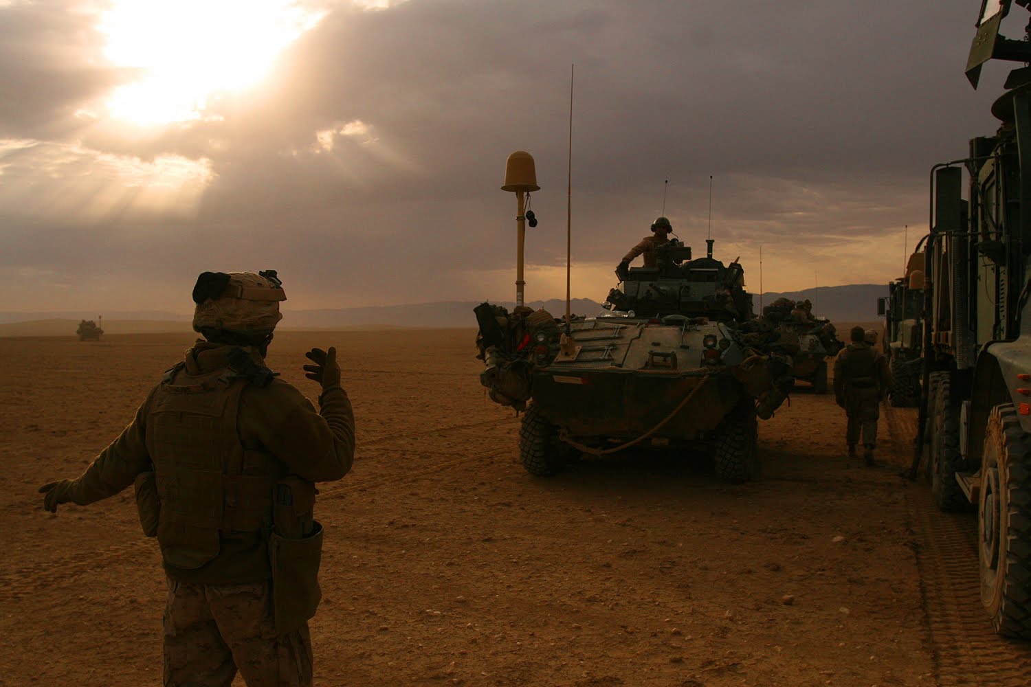 The C-Square: Cpl. Matthew R. Adams, 1LAR