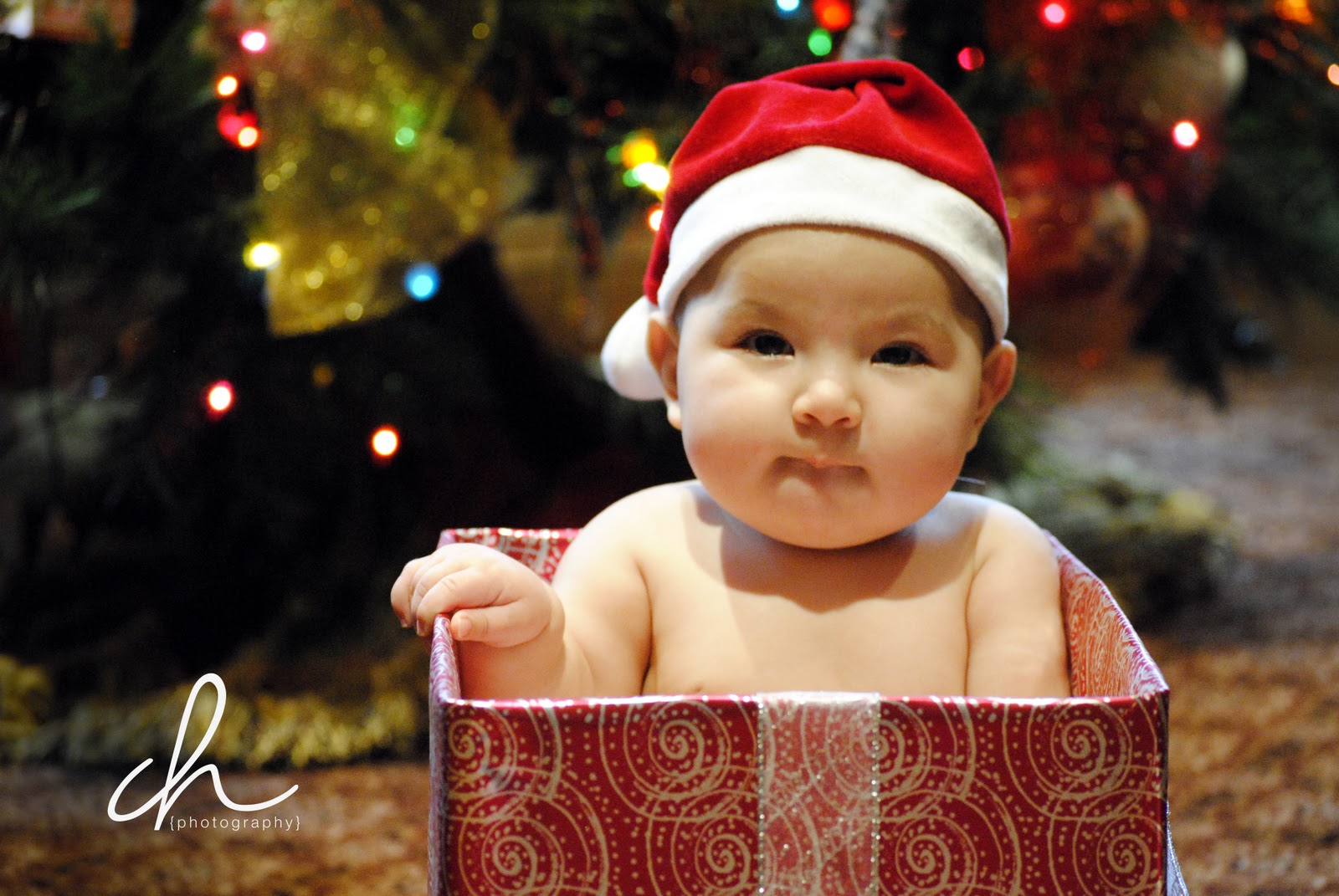 Diane Hernandez Photographer: {Harmony, Minnesota} Baby in Box ...
