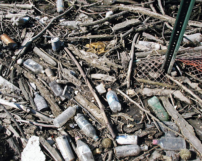 Caught In The Stream: Chicago River Clean Up 2007: How I spent my day ...