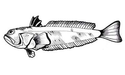 Nacho Gallego "Un Dibujo por dia para el messenger": Día 89: UDPD4M ...