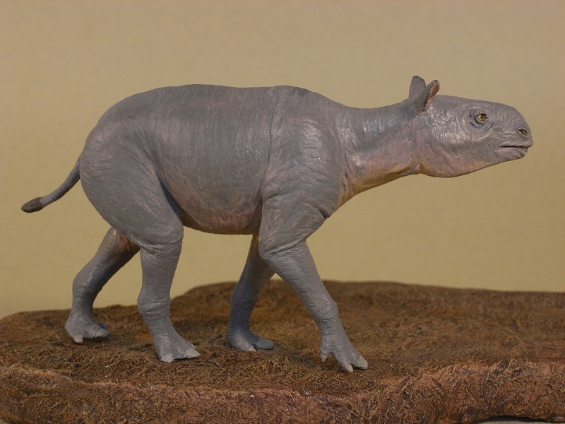 恐竜・古生物造形作品ギャラリー: アミノドン Amynodon