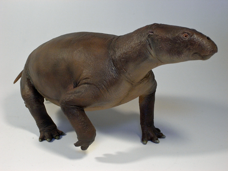 恐竜・古生物造形作品ギャラリー: アショロア Ashoroa laticosta