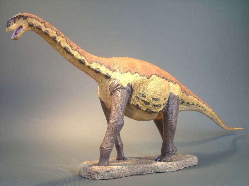 恐竜・古生物造形作品ギャラリー: ジョバリア Jobaria tiguidensis