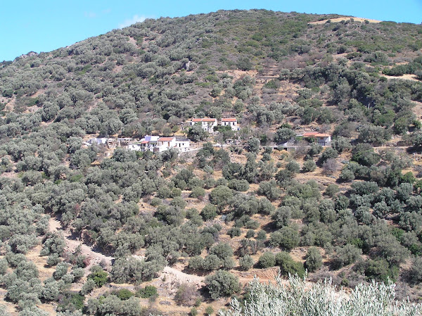 ΚΑΜΠΟΣ ΚΙΣΣΑΜΟΥ ΧΑΝΙΩΝ ΚΡΗΤΗΣ: Ο ΚΑΜΠΟΣ ΣΤΟ ΠΕΡΑΣΜΑ ΤΟΥ ΧΡΟΝΟΥ