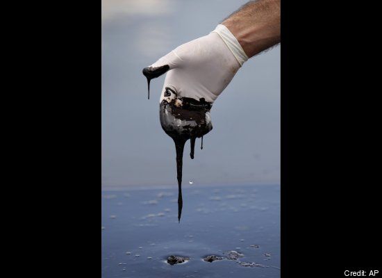 BlazeAdams.247: BP OIL SETS UP $20 BILLION DOLLAR FUND FOR OIL SPILL ...