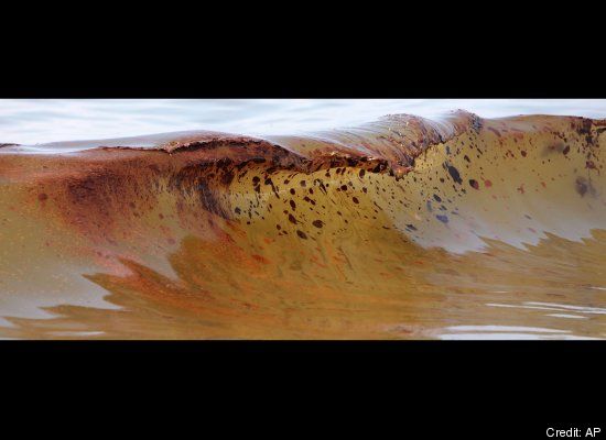 BlazeAdams.247: BP OIL SETS UP $20 BILLION DOLLAR FUND FOR OIL SPILL ...