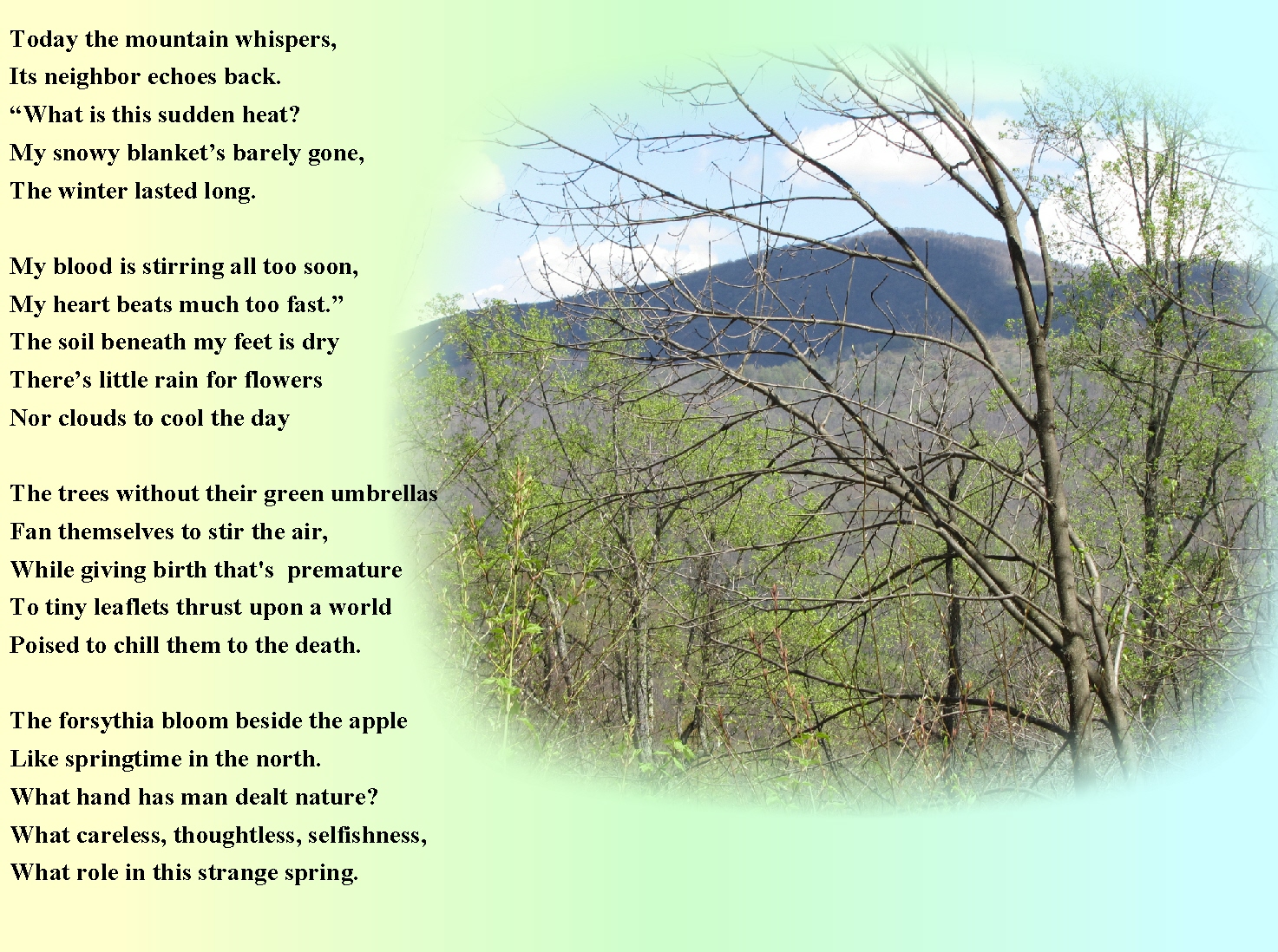 Appalachian Heartbeat: Today the Mountain Whispers