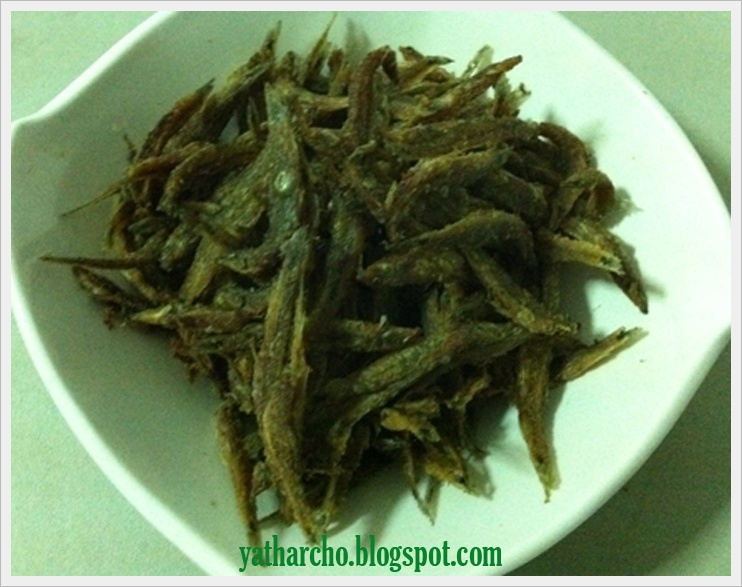 ရသာခ်ဳိ: January 2011