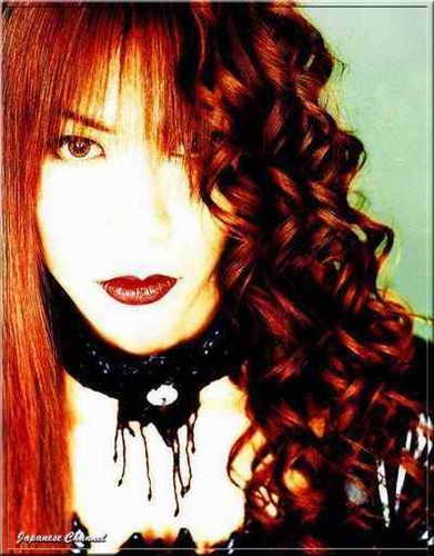 Evil In TrutH: Dir En Grey