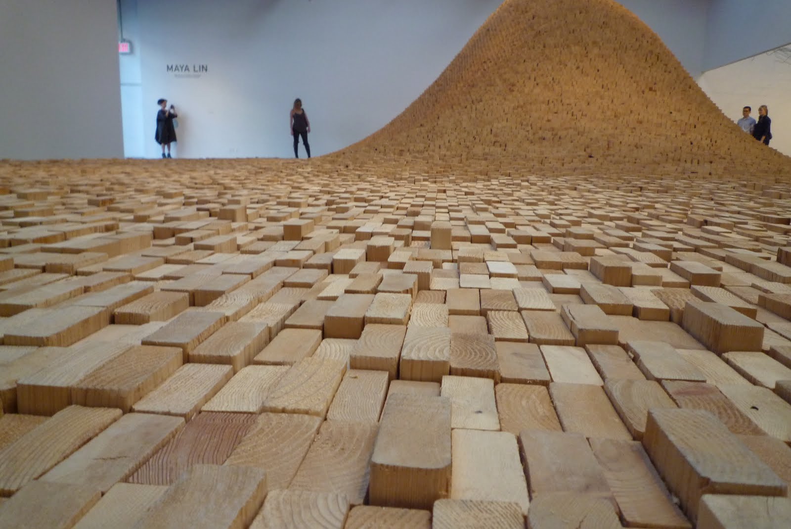 Carolina Moreno: Maya Lin