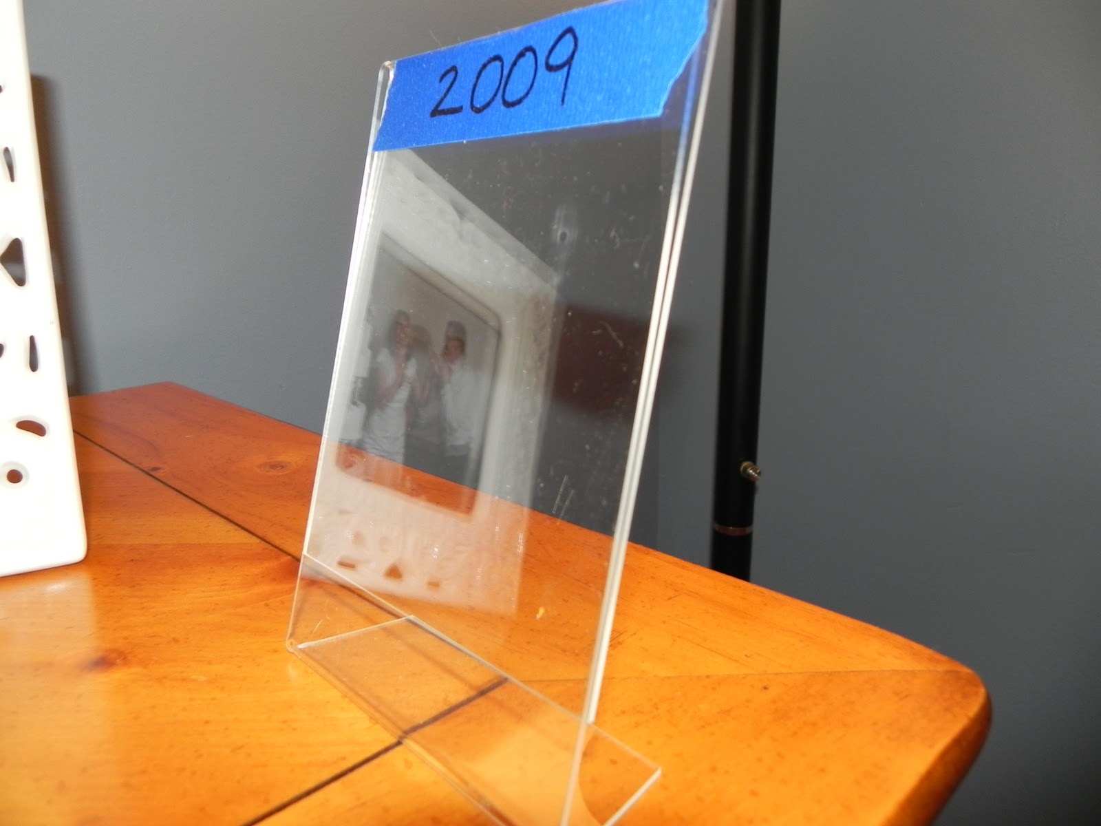 Shady Tree Diary: January 2011