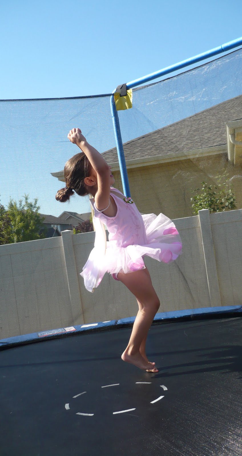 The Swensonics: Trampoline Action Shots