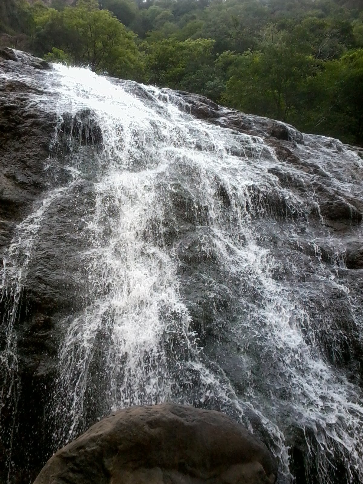Pkgaran's Blog: Travelogue - Kalvarayan Hills - Periyar Falls - Megam Falls