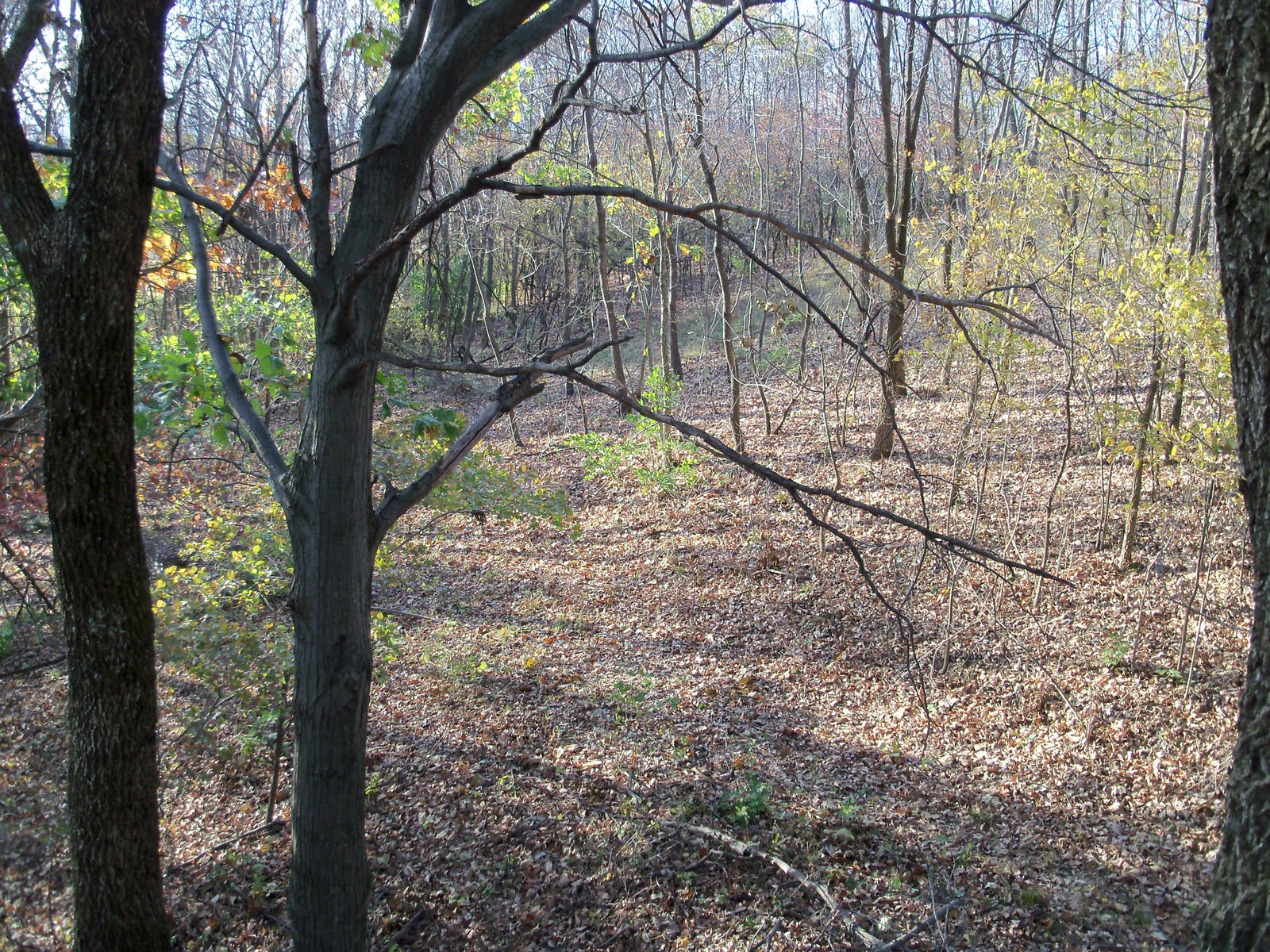 Bow Hunting on emaze