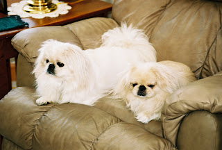 Mrs. Minnesota America 2007 CONTESTANTS: Jenn DeFoe (Mrs. Wright County ...