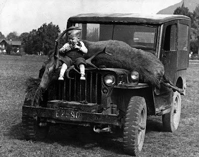 Bill Luster Photography