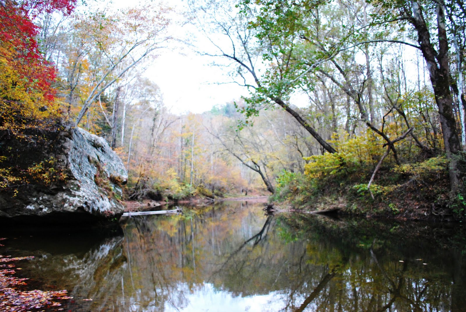A Picture is Worth a Thousand Words: Daniel Boone National Forest, Kentucky