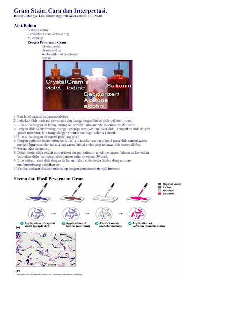 Research Laboratory: Pewarnaan Gram