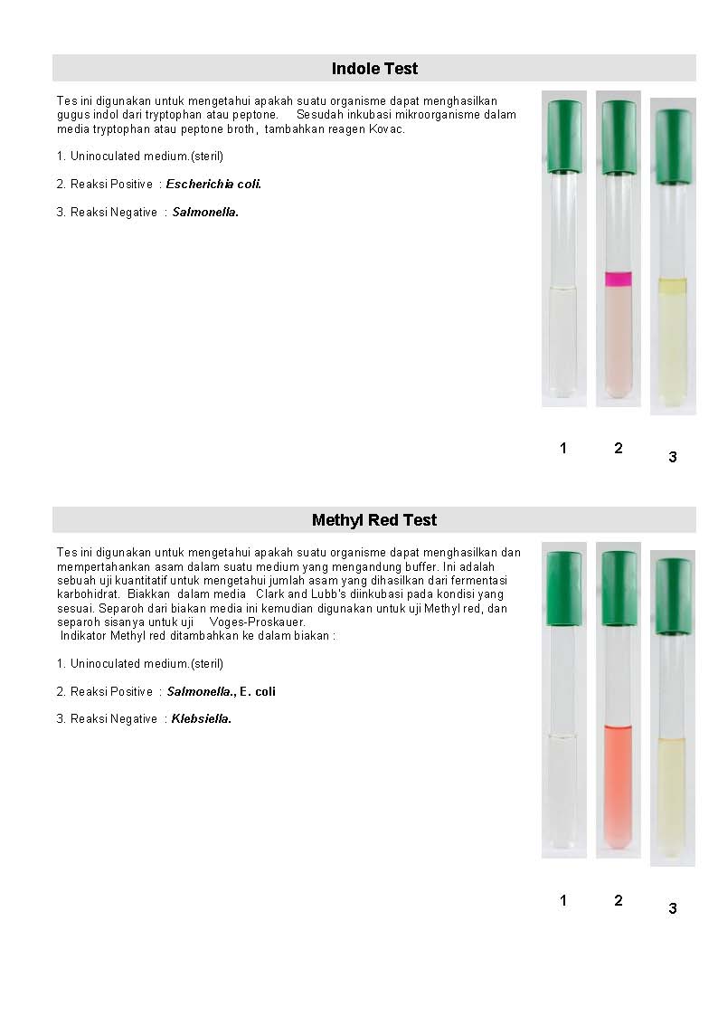 MIKROBIOLOGI UNTUK TEHNISI KESEHATAN: UJI BIOKIMIA