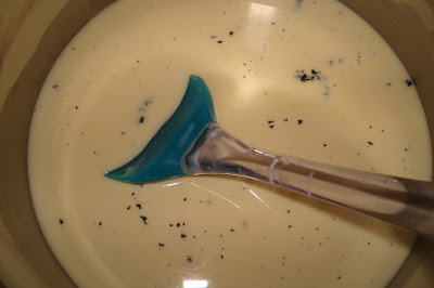 The best simple vanilla ice cream | down to earth