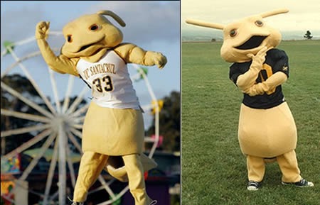 sport life: 10 Weirdest College Mascots