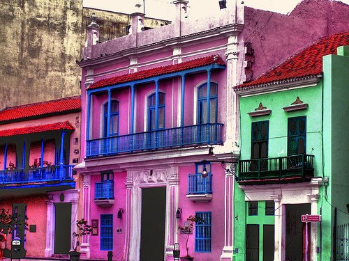 Pictures of Cuba | onions + garlic