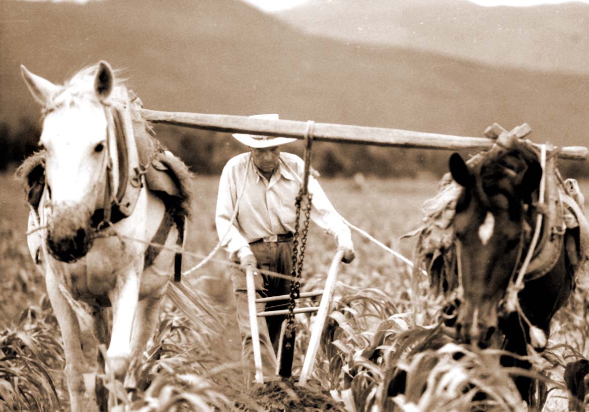 ZihuacostaS ...........: LOS NUEVOS MEXICANOS