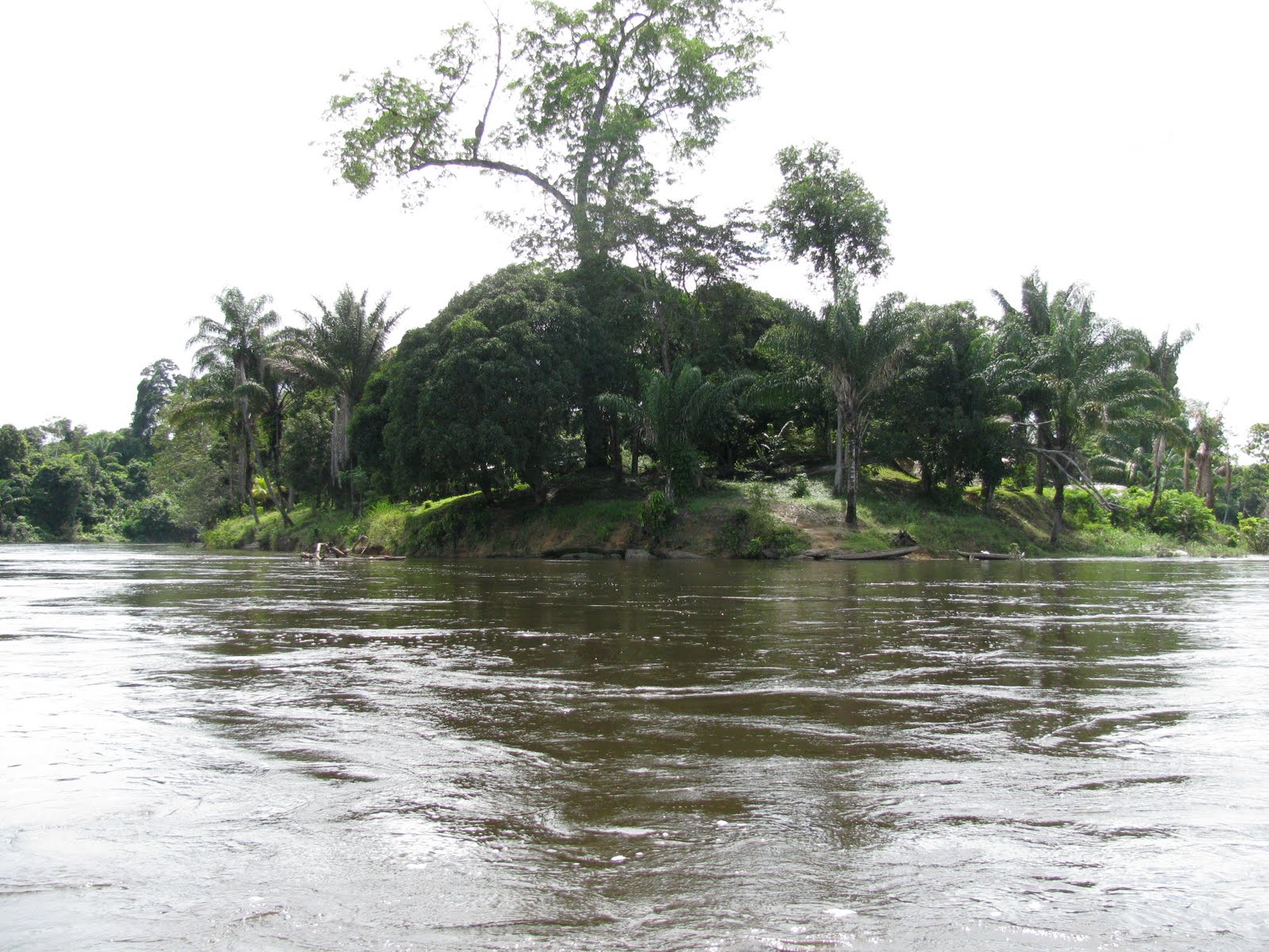 Van Arnhem naar Suriname: Swit Kontren, De Ware Tijd, 15-7
