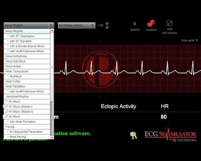 ECG Simulator | Paramedicine 101