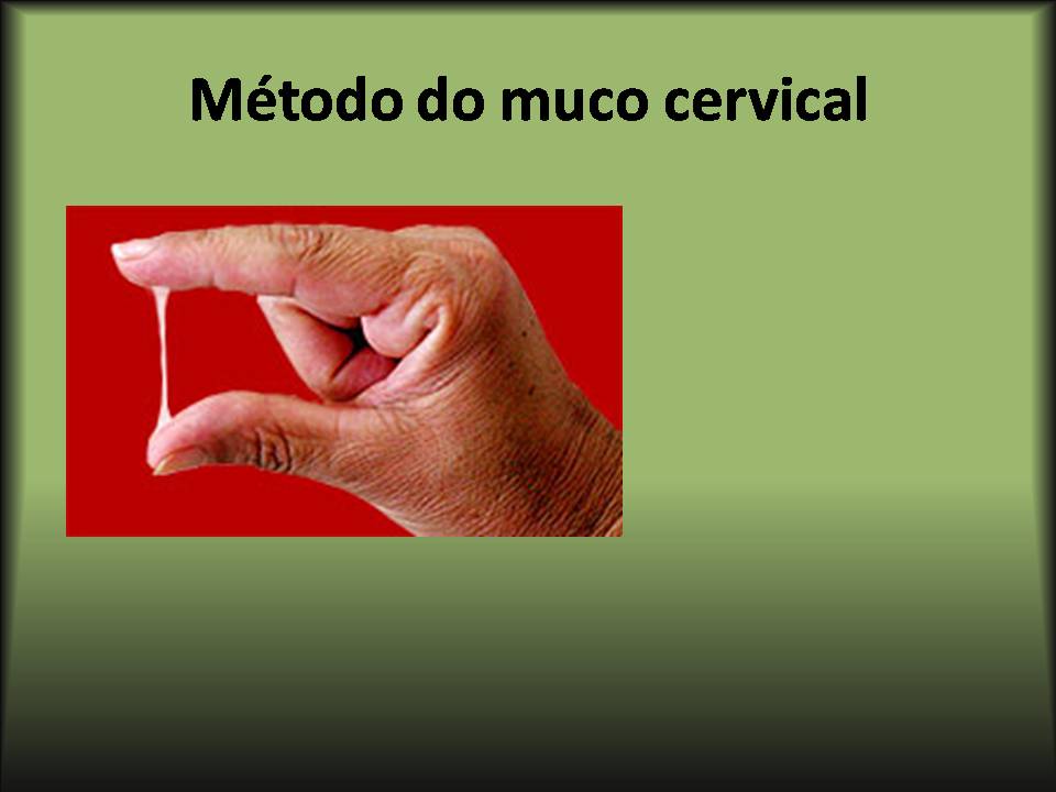CAMISINHA NELES: Método do muco cervical