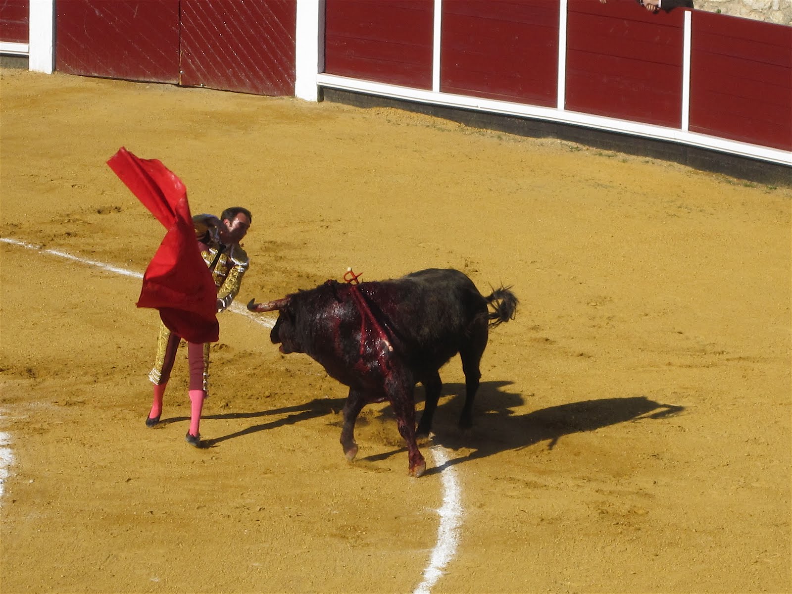 ¡Mi Primavera en España!: Corrida De Torros