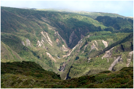 Biologia/Geologia 11: Zonas Vertentes