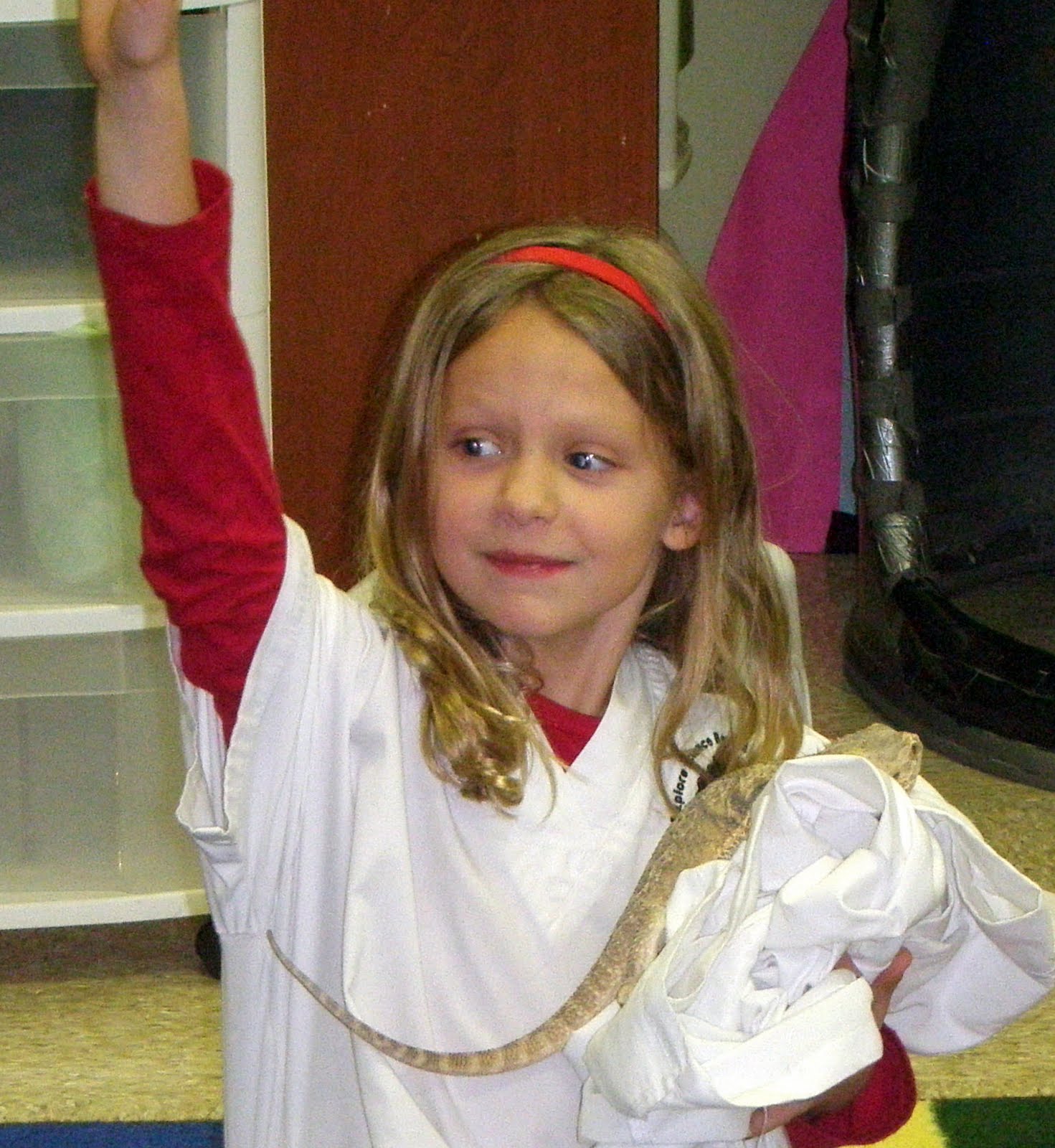 Aloha Windmill Farms: South Carolina Rocks