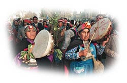 El Pueblo mapuche: Ceremonias