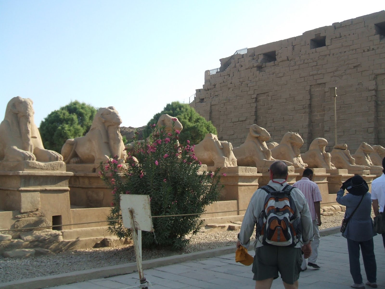 The temple of Karnak | RaanaSafvi's Blog